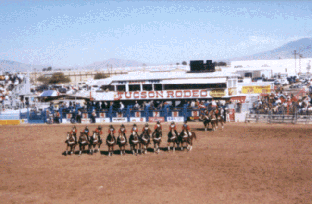 Tucson Rodeo and Parade Fact Sheet